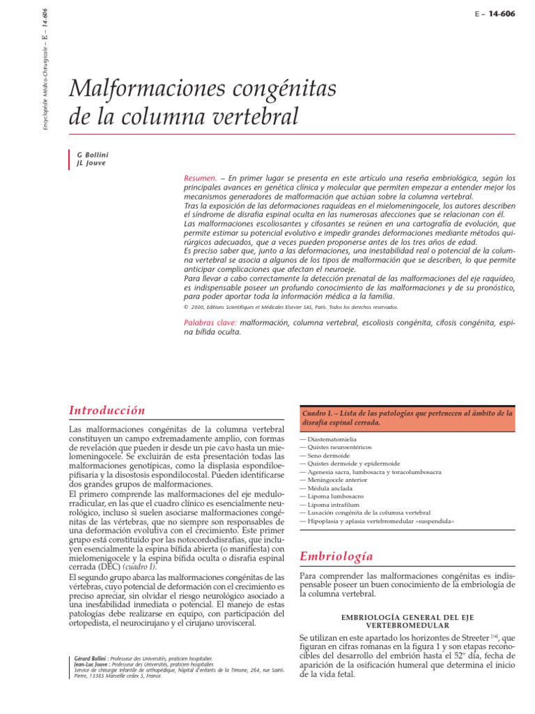 Malformaciones | PDF | Vértebra | La columna vertebral
