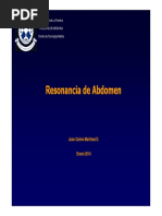 Protocolo de Cerebro RM | PDF | Cerebro | Antena (Radio)