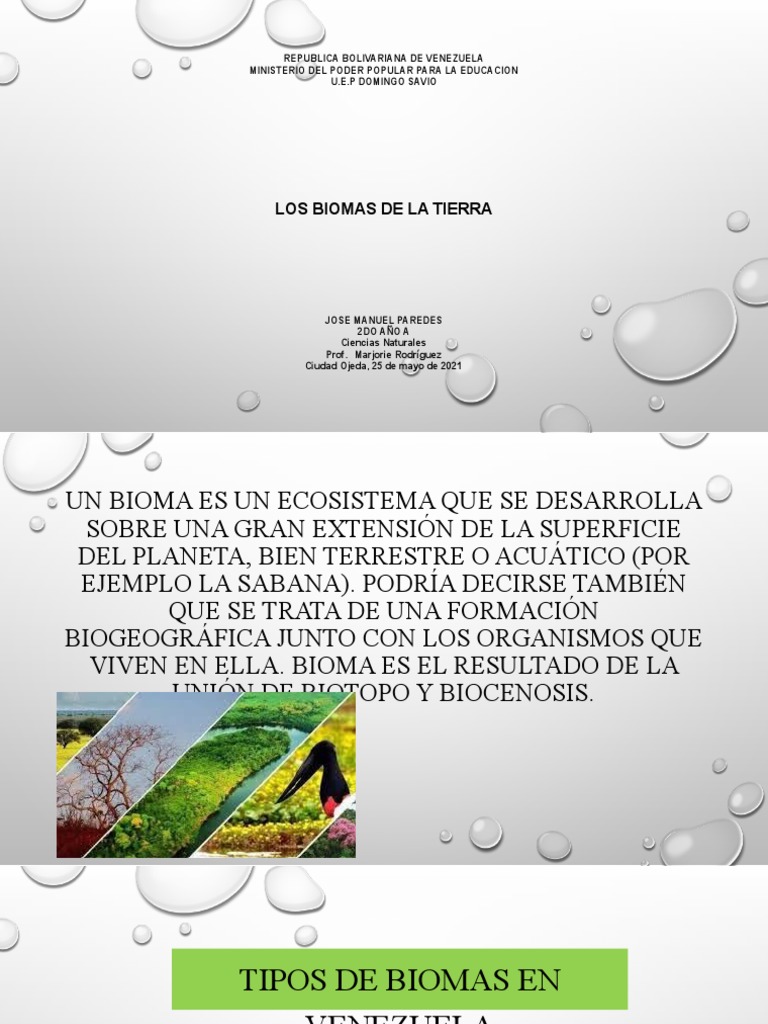 Biomas de Venezuela: Tipos y Características | PDF | Clima templado | Selva