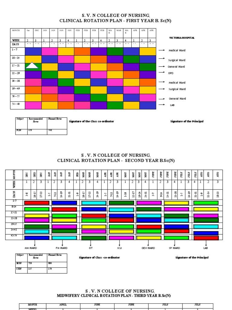 Clinical Rotation Basic B.sc. | PDF | Clinical Medicine | Medical ...