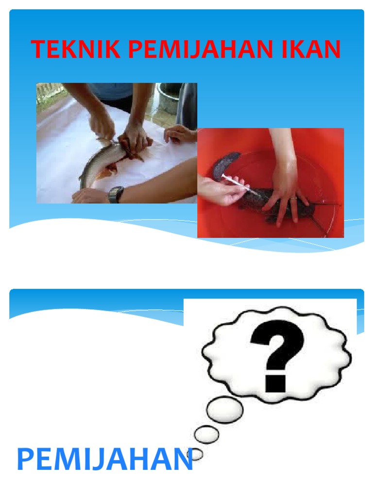 Teknik Pemijahan Ikan | PDF | Memasak, Makanan, & Anggur | Sains ...