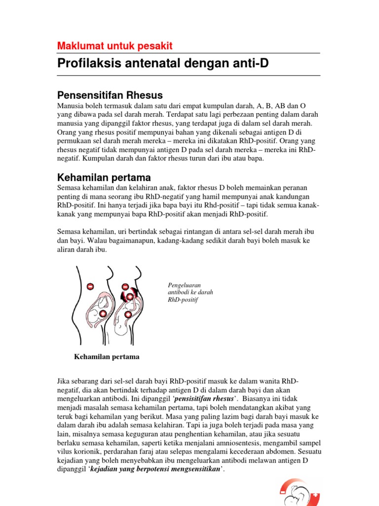 Faktor Rhesus | PDF
