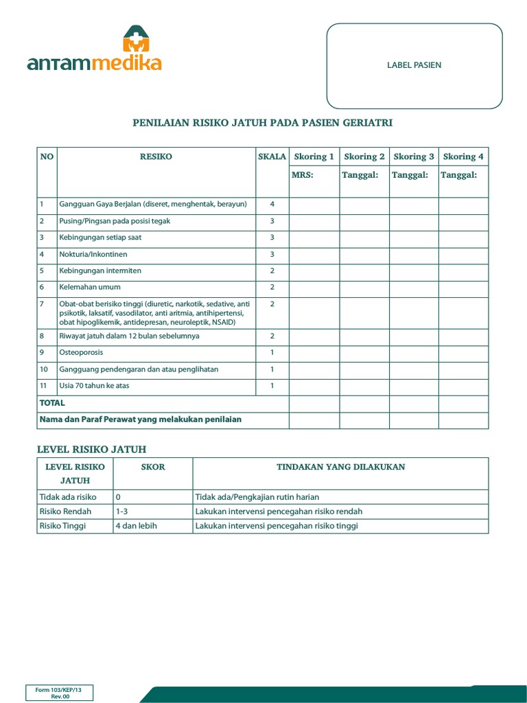 Penilaian Risiko Jatuh Pada Pasien Geria | PDF