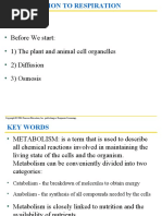 RAH Map | PDF | Patient | Radiology