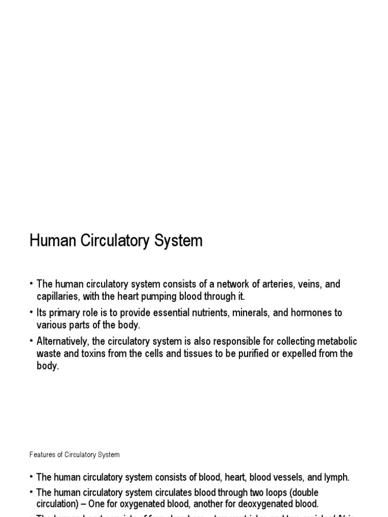 HUman Circulatory System | PDF | Circulatory System | Heart