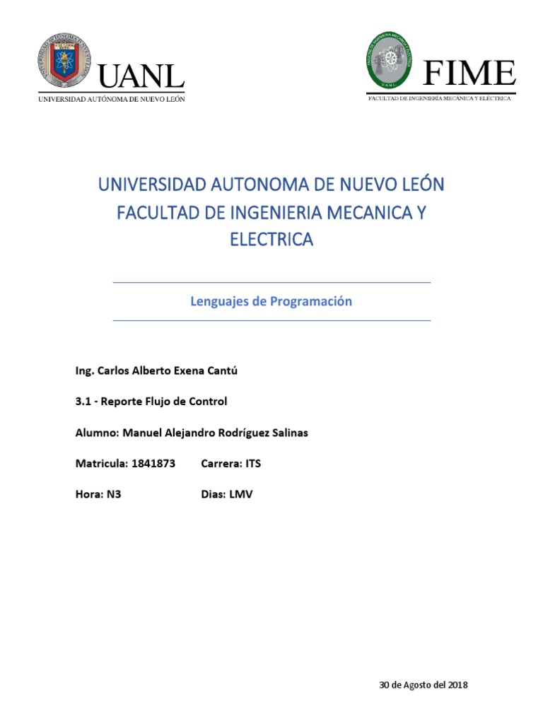 LenPro 3.1 Reporte Flujo de Control | PDF