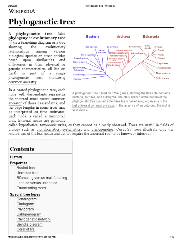 Phylogenetic Tree - Wikipedia | PDF | Phylogenetic Tree | Organisms