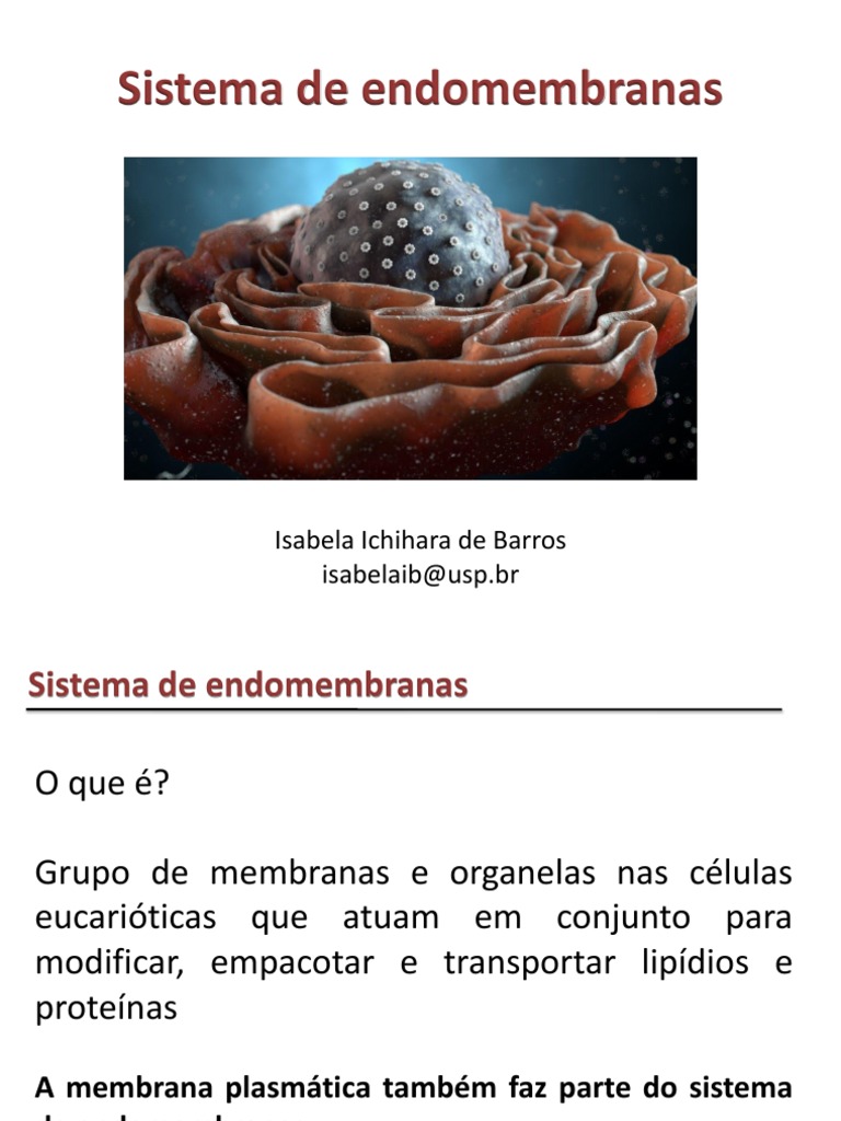 Sistema de Endomembranas | PDF | Retículo endoplasmático | Biologia ...