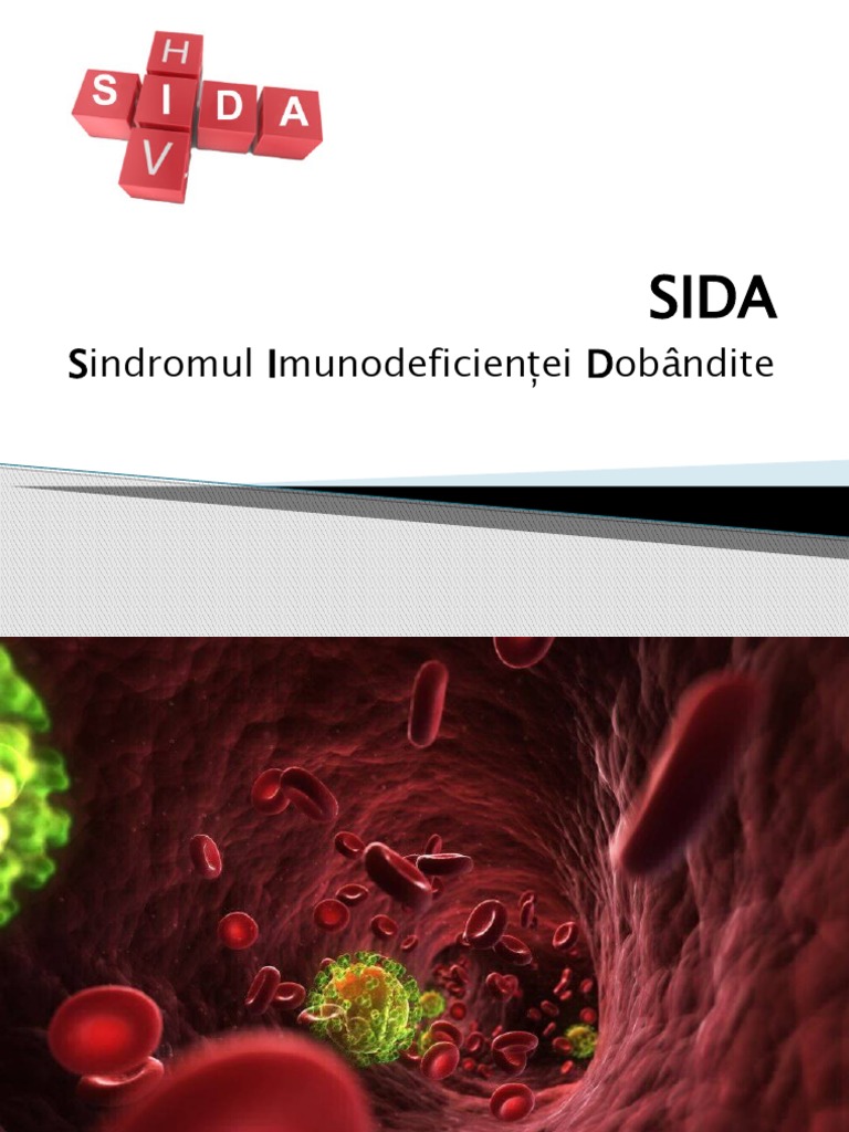 Sida PPT | PDF