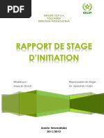 Organigramme Ocp Nouveau | PDF | Maroc | Business