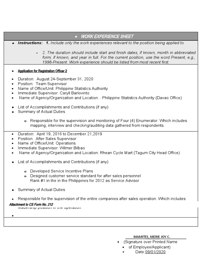 Work Experience Sheet CS Form No. 212 | PDF