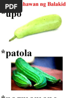 Peter Pan - Tagalog | PDF