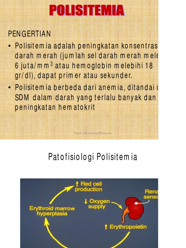 Unej Polisitemia | PDF | Sains & Matematika