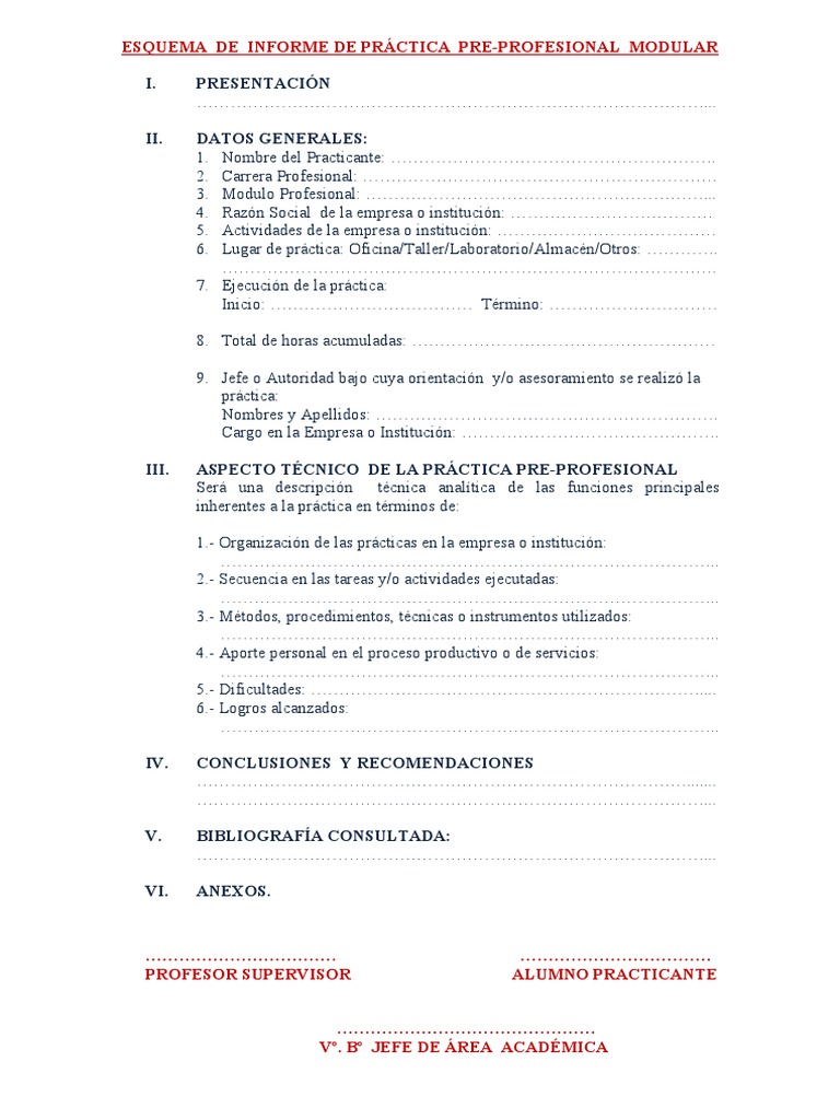 Esquema de Informe de Práctica Pre-Profesional Modular | PDF
