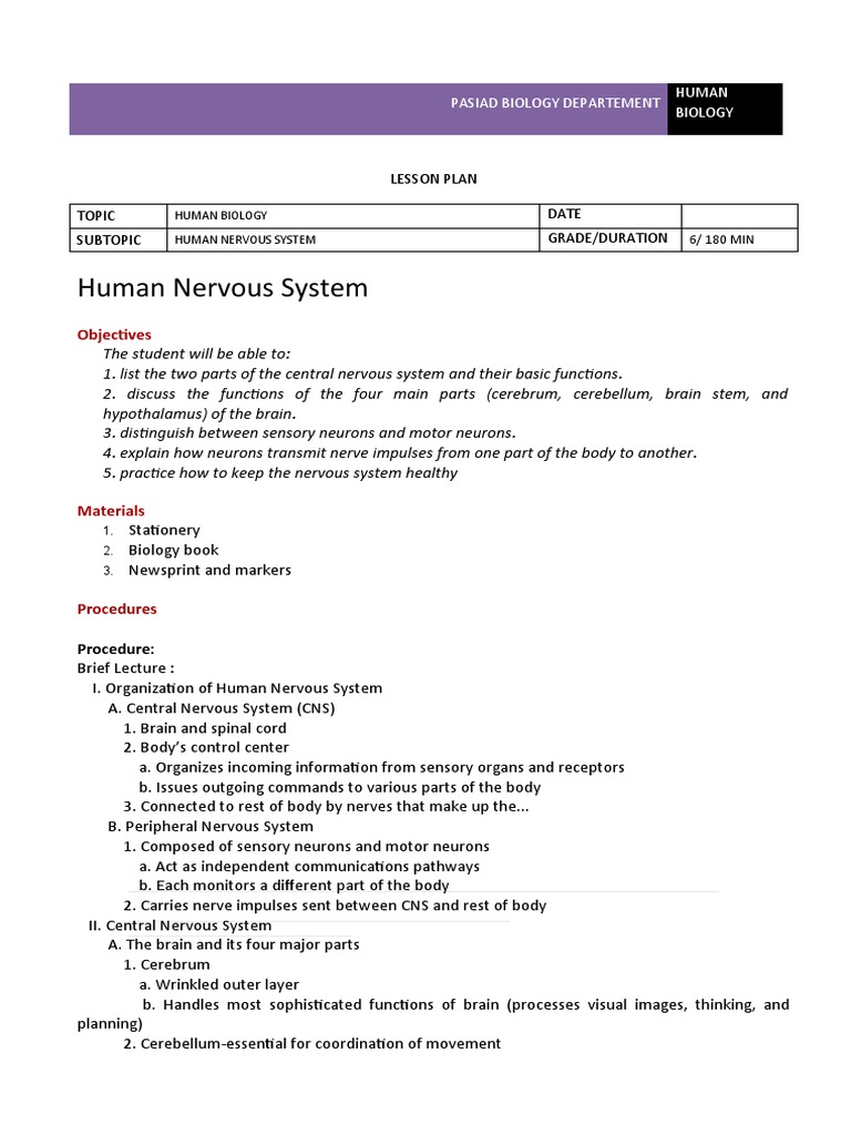 Human Nervous System | Download Free PDF | Central Nervous System ...