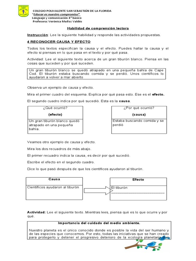 Causa y Efecto en Comprensión Lectora | PDF
