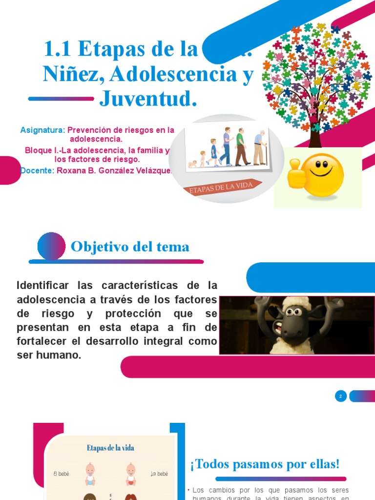 1.1 Etapas de La Vida. - Niñez, Adolescencia y Juventud | PDF ...