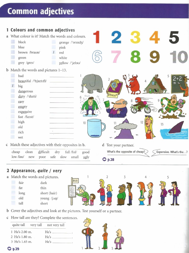 Common Adjectives | PDF
