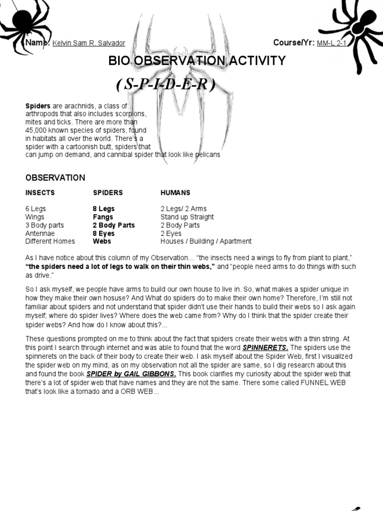 Bio Observation Activity | PDF | Spider | Spider Web