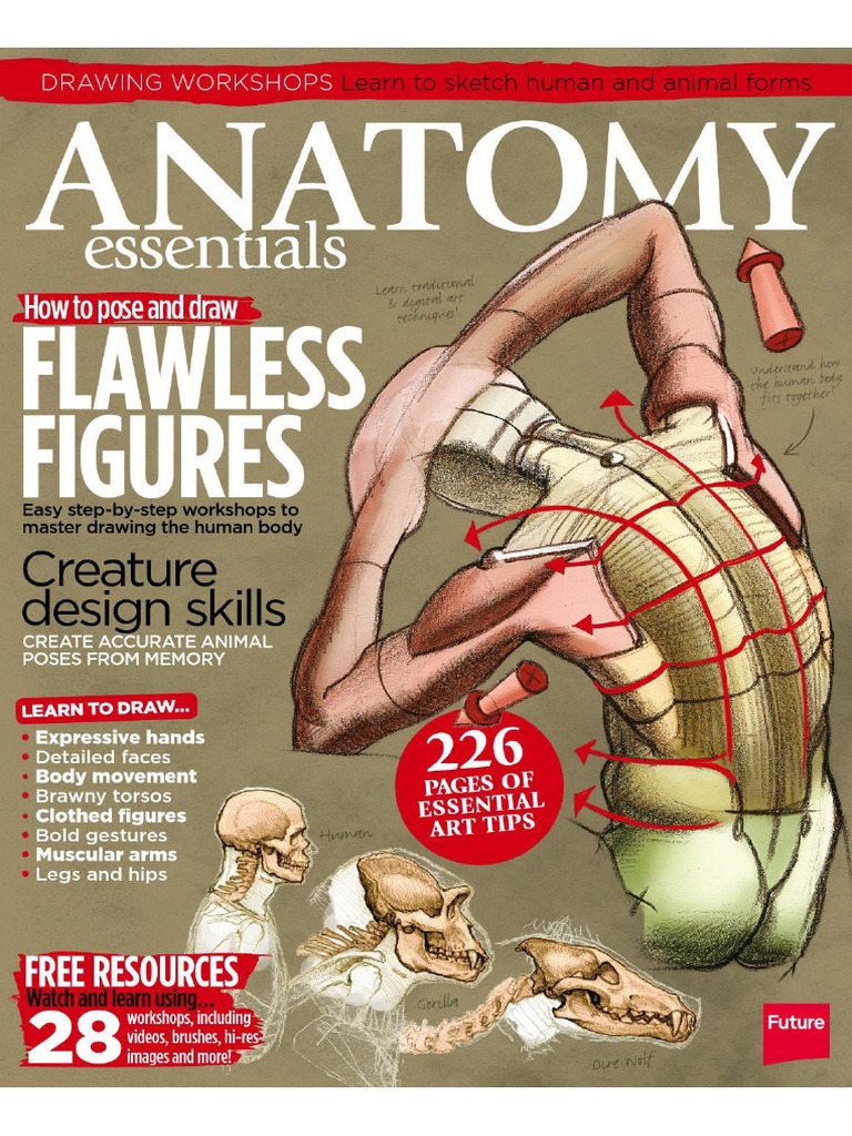 Anatomy Essentials | PDF