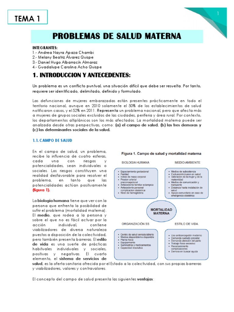 Tema 1 - Problemas de Salud Materna | PDF | El embarazo | Muerte materna