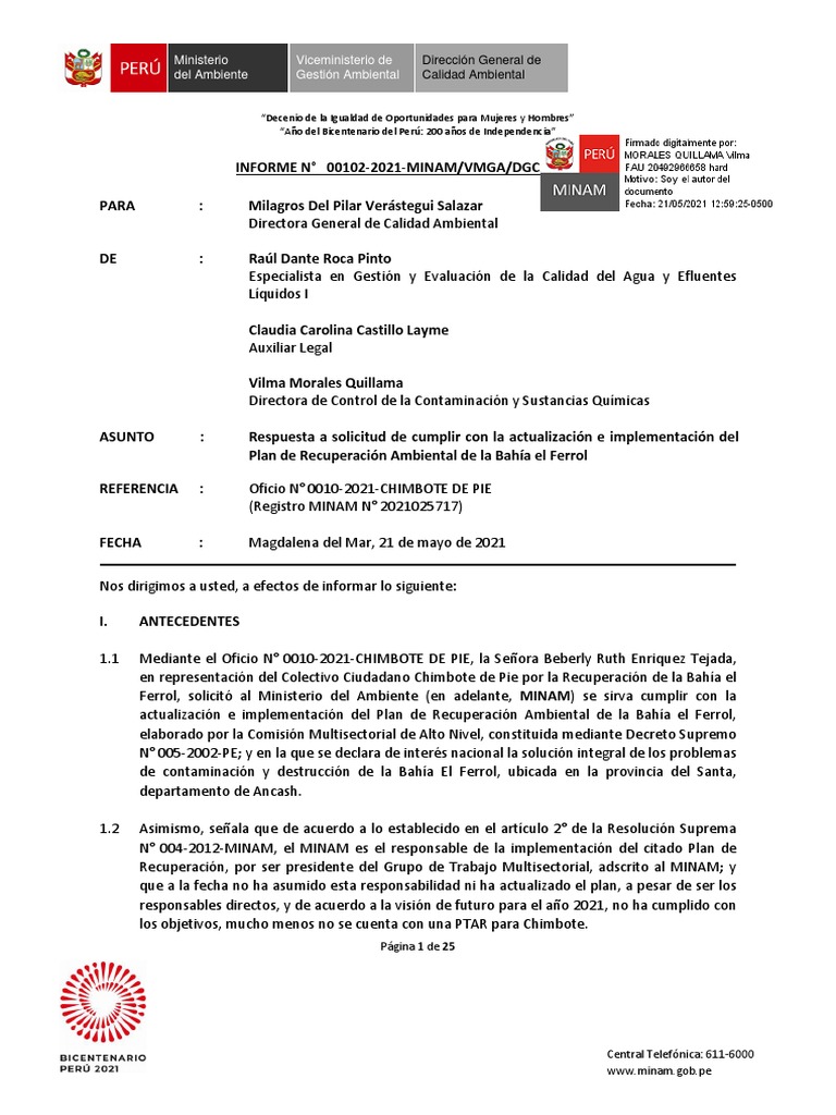 Informe 0102-2021-Minam-Vmga-Dgca - DCCQS | PDF