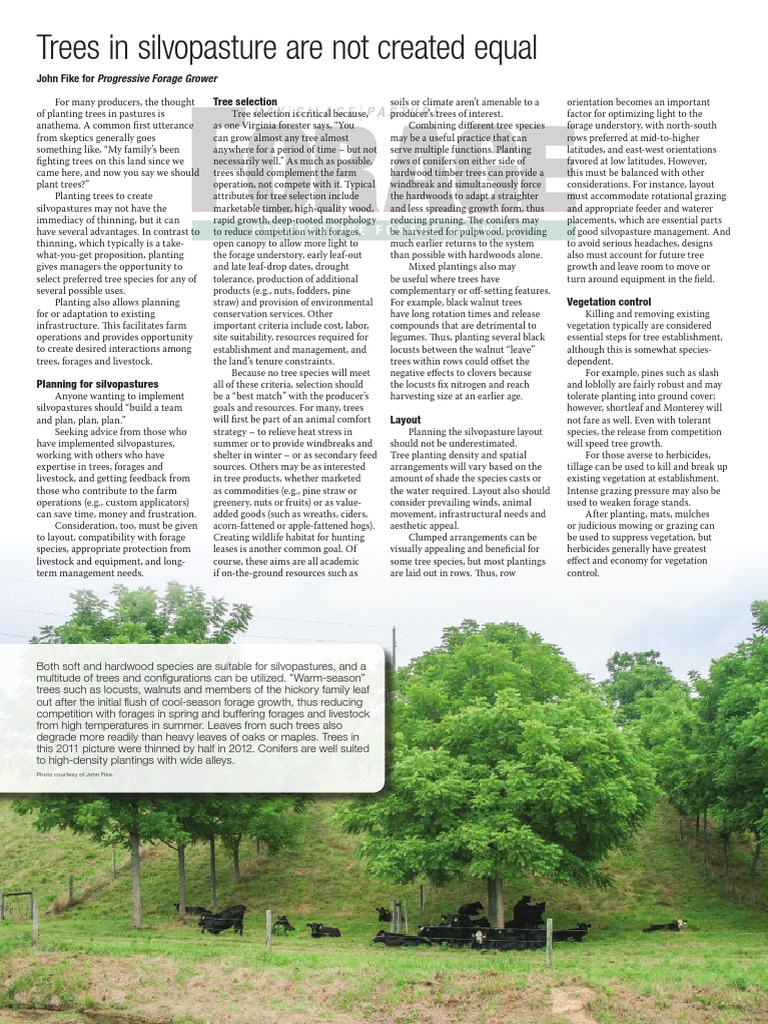 Trees in Silvopasture | PDF | Trees | Plants