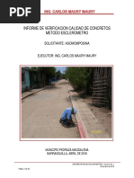 Informe Esclerometro | PDF