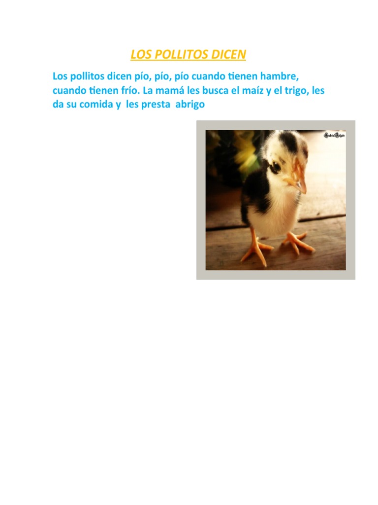Los Pollitos Dicen | PDF