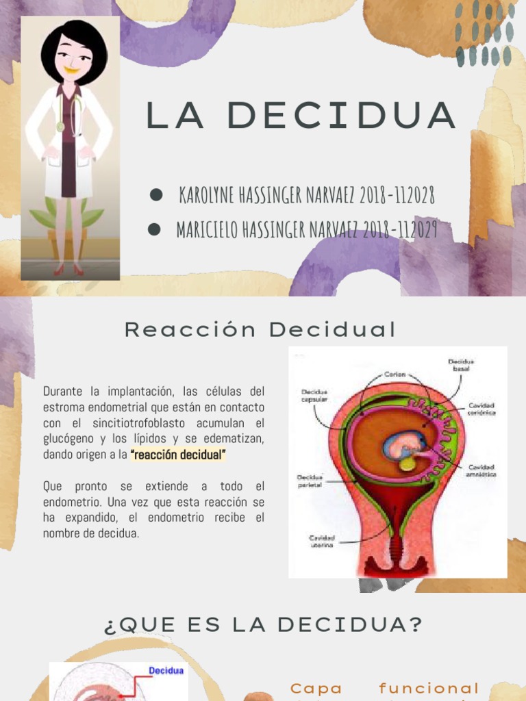 DECIDUA | PDF | Placenta | Embarazo humano