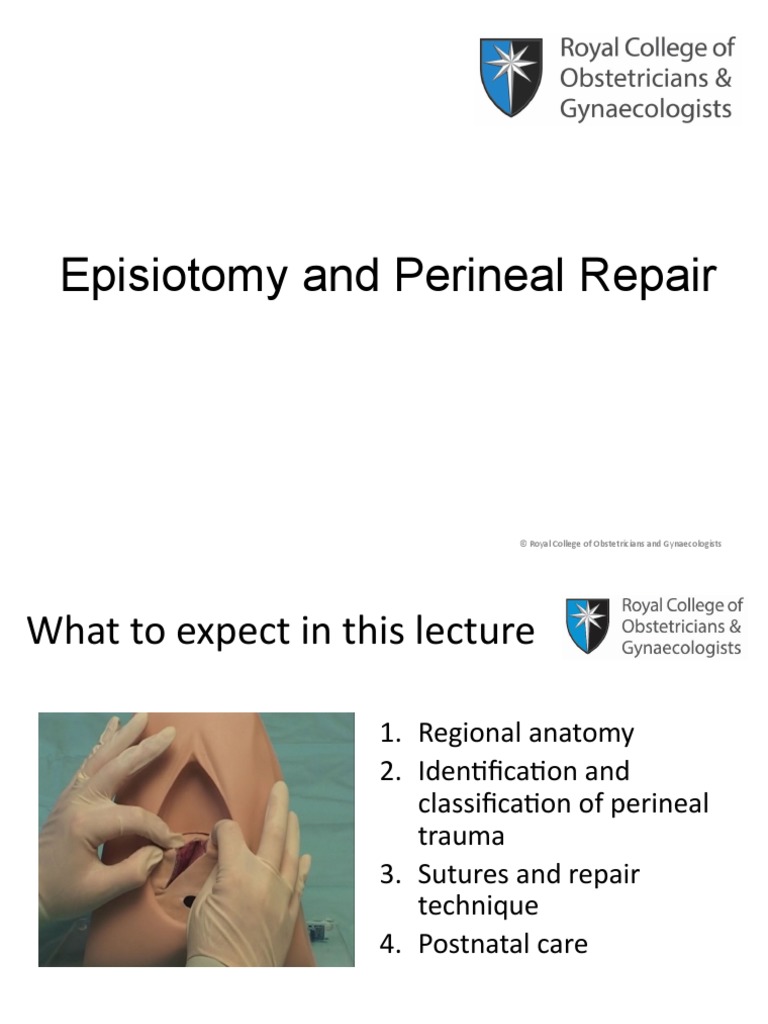 Episiotomy and Perineal Repair Guide | PDF | Self-Improvement | Wellness