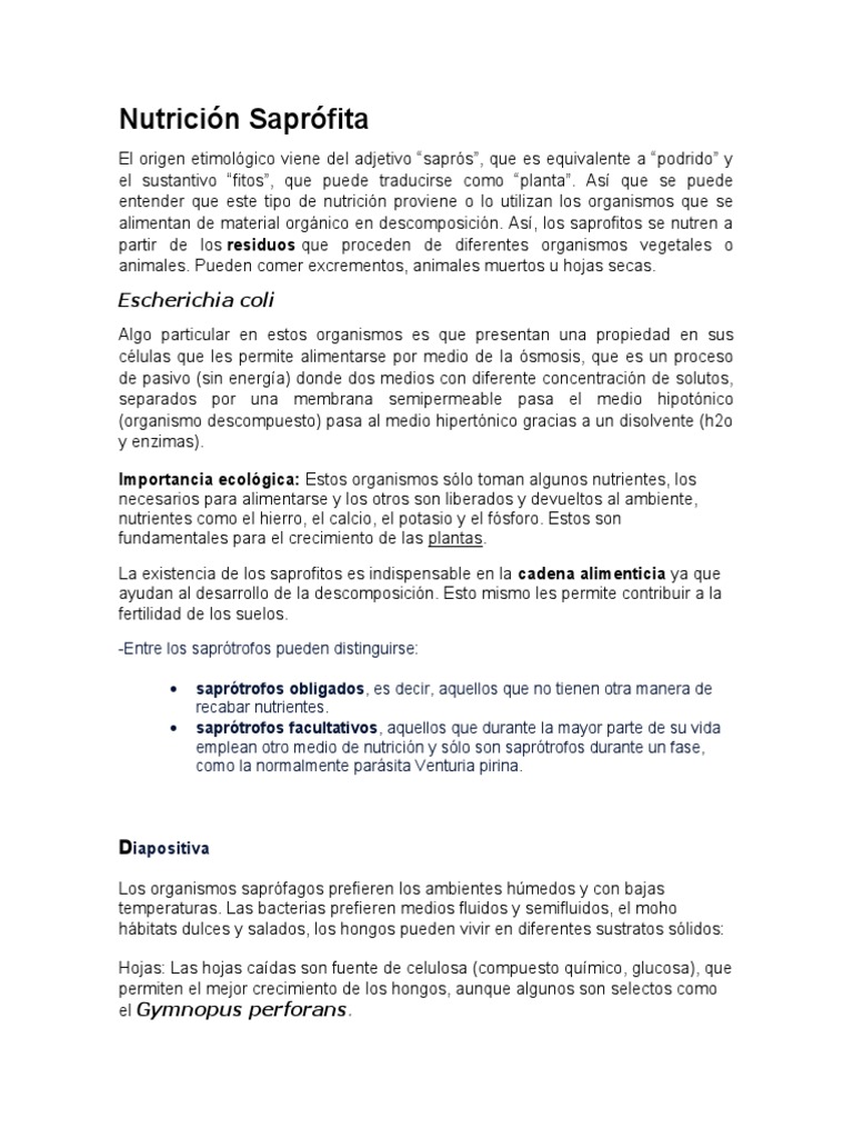 Nutrición Saprófita | PDF | Biología | Organismos