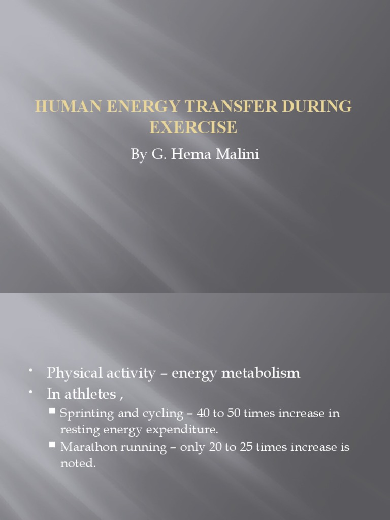 Energy Transfer During Exercise | PDF | Cellular Respiration | Lactic Acid