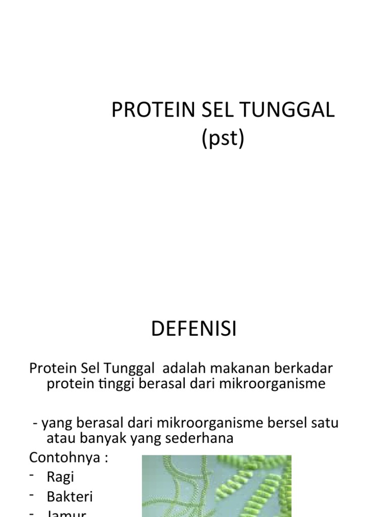 TPP (Protein Sel Tunggal) | PDF