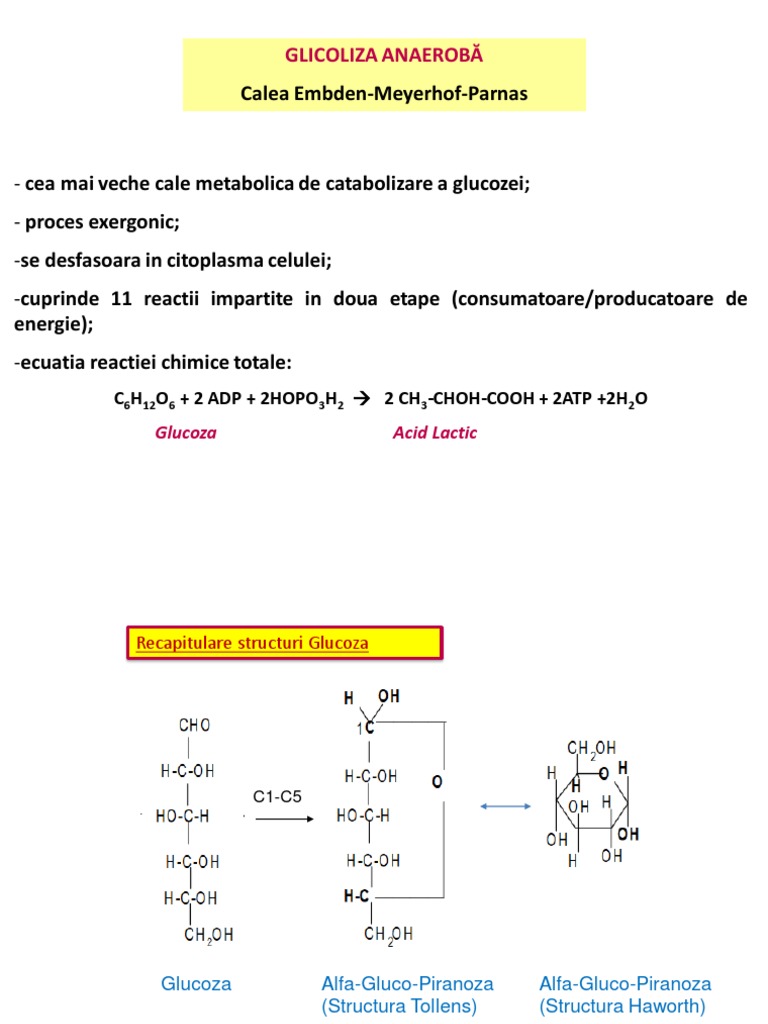 C4 5 Glicoliza Anaeroba Februarie-2021 | PDF