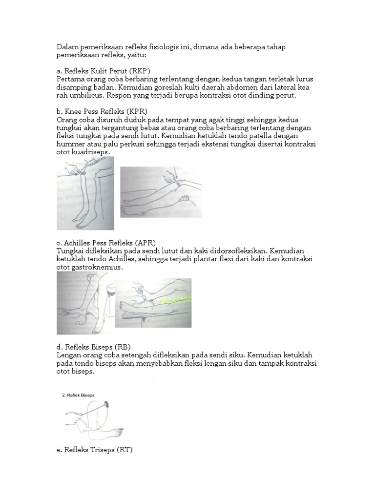 Dalam Pemeriksaan Refleks Fisiologis Ini | PDF