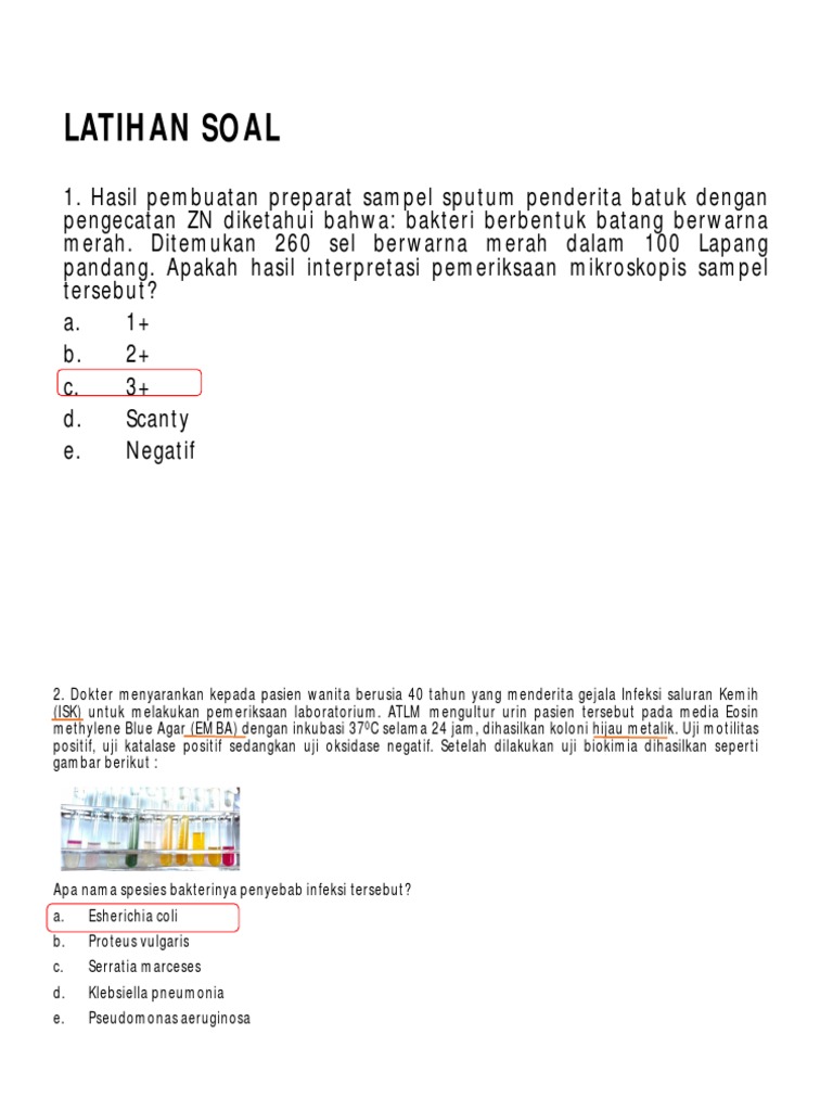 Latihan Soal Bakteriologi PDF | PDF | Sains & Matematika