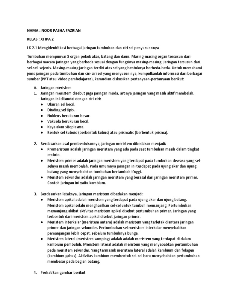 LK 2.1 Noor Pasha Fazrian | PDF | Griya & Taman | Kesehatan Holistik