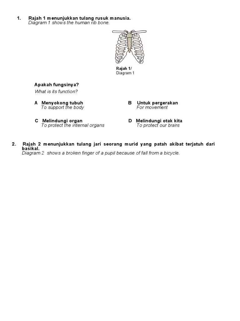 What Is Its Function?: Rajah 1 | PDF
