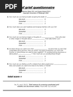 Brief Grief Questionnaire (BGQ) : Do Not Circulate Without Written ...