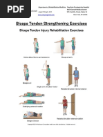 Alfredson Heel Drop Protocol | PDF | Soft Tissue | Limbs (Anatomy)