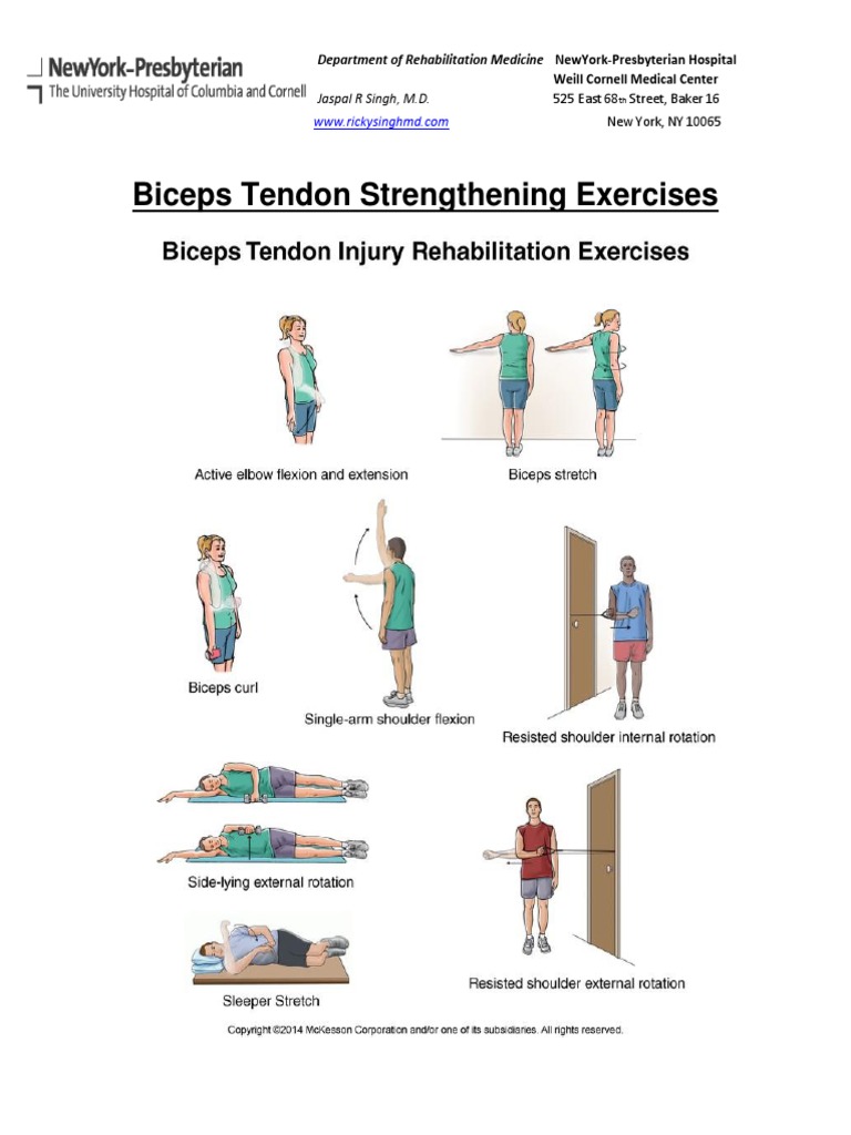 Biceps Tendon Strengthening Exercises | PDF | Elbow | Anatomical Terms ...