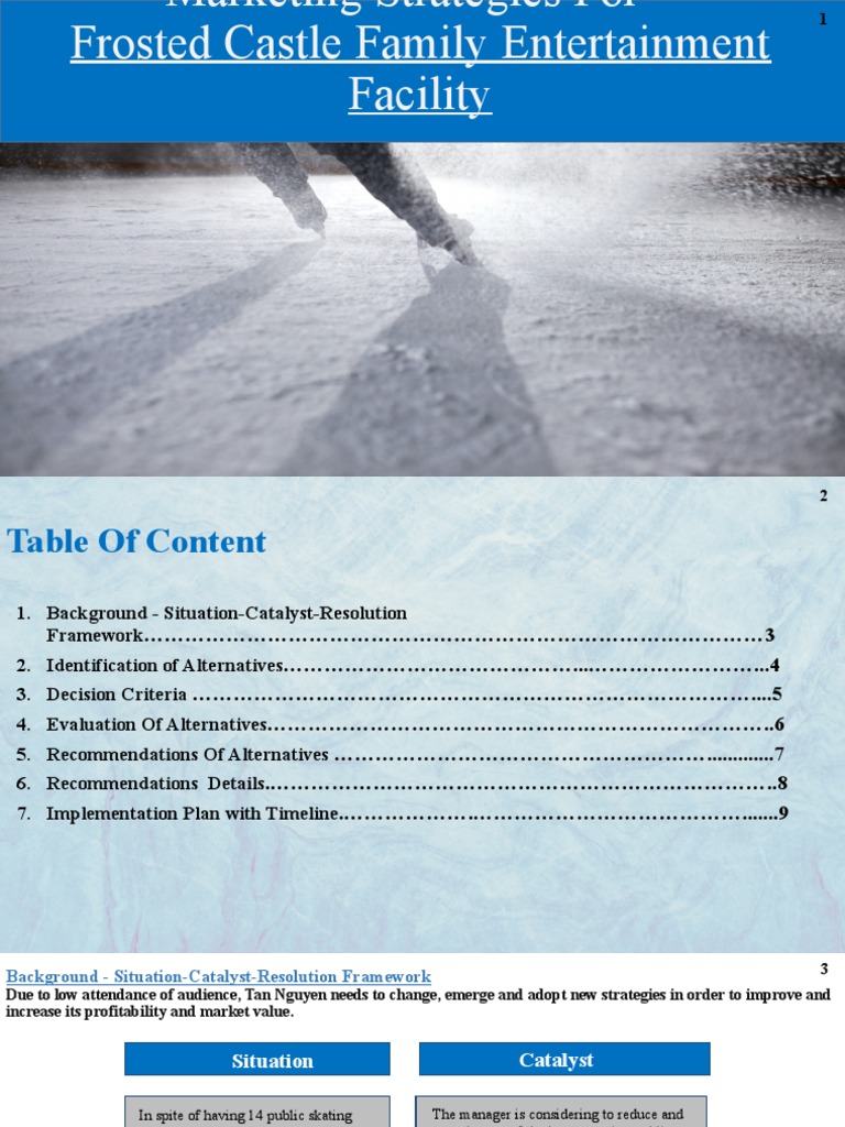 Marketing Strategies for Frosted Castle | PDF | Target Audience | Marketing