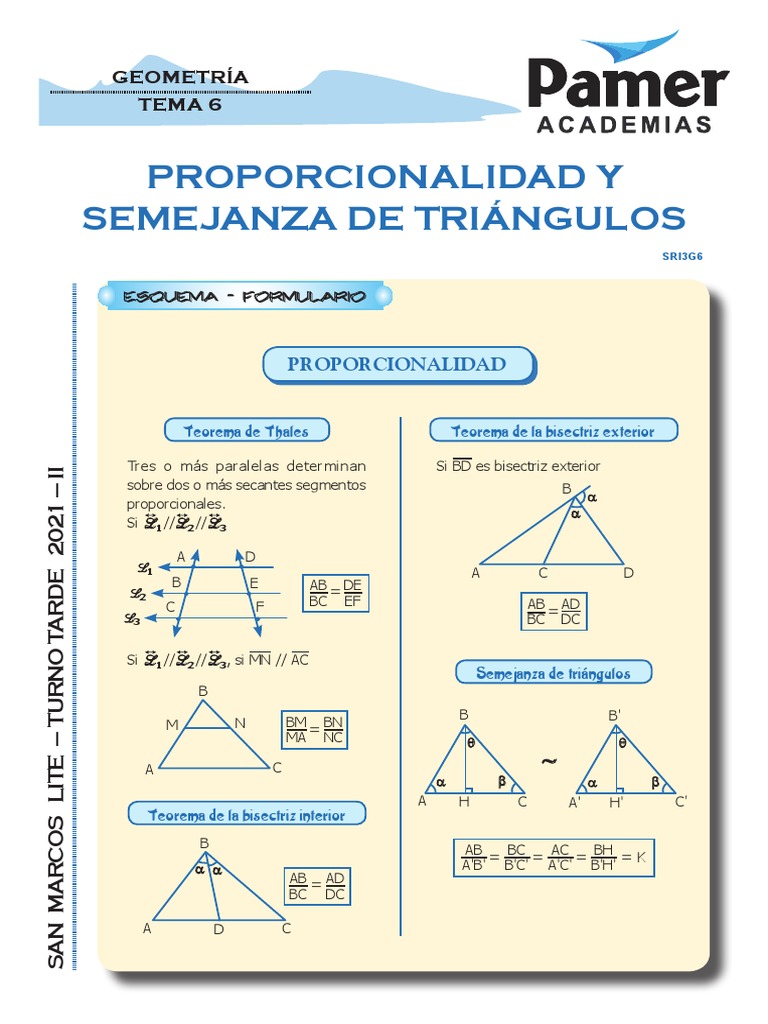 G - Sem 6 - Proporcionalidad y Semejanza de Triángulos | PDF ...