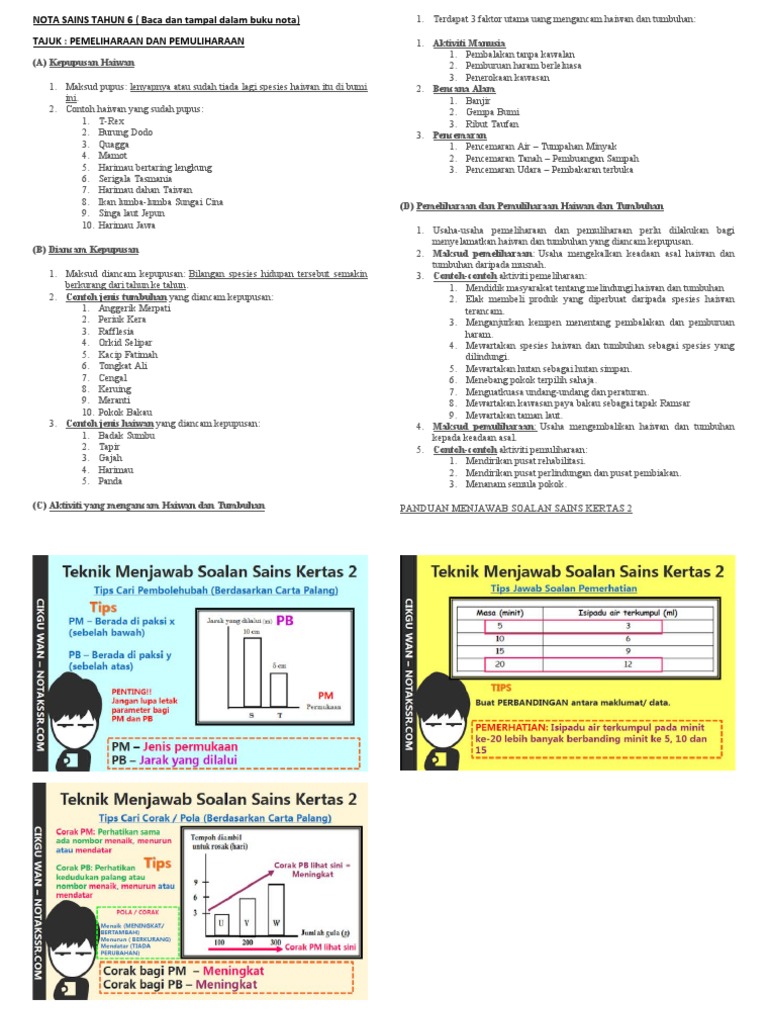 Nota Sains Tahun 6 | PDF