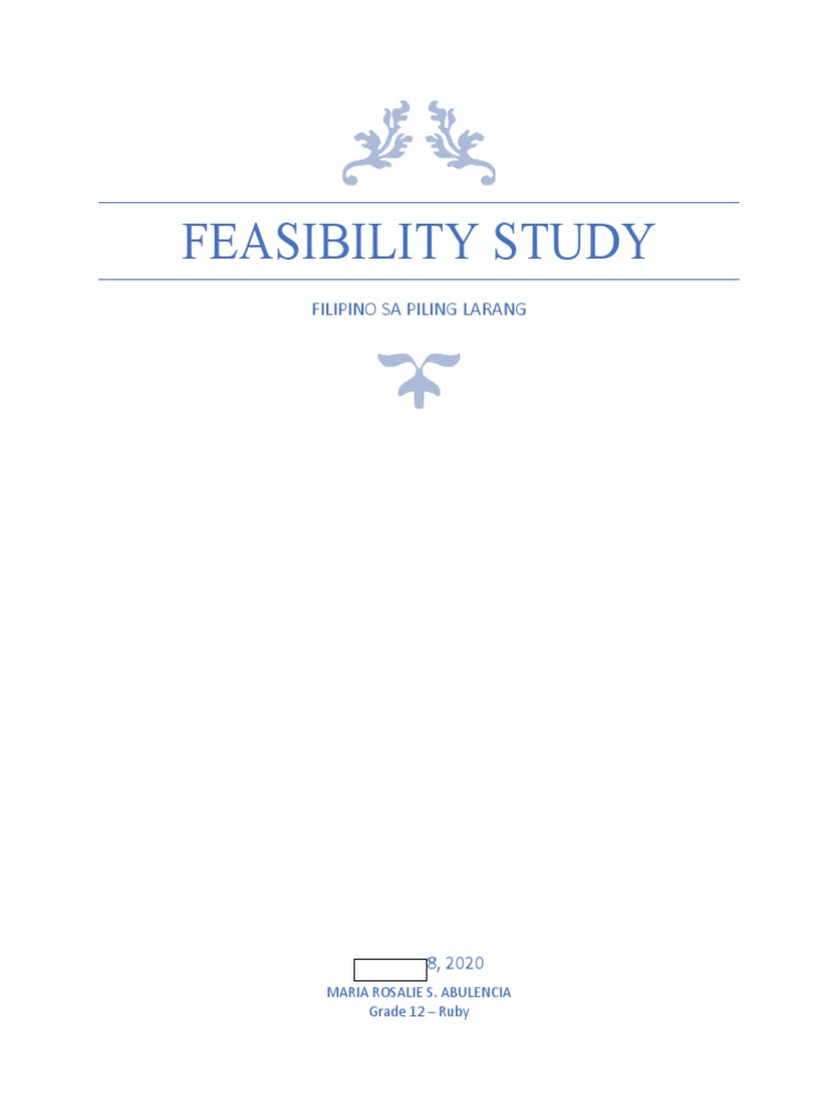 Feasibility Study | PDF