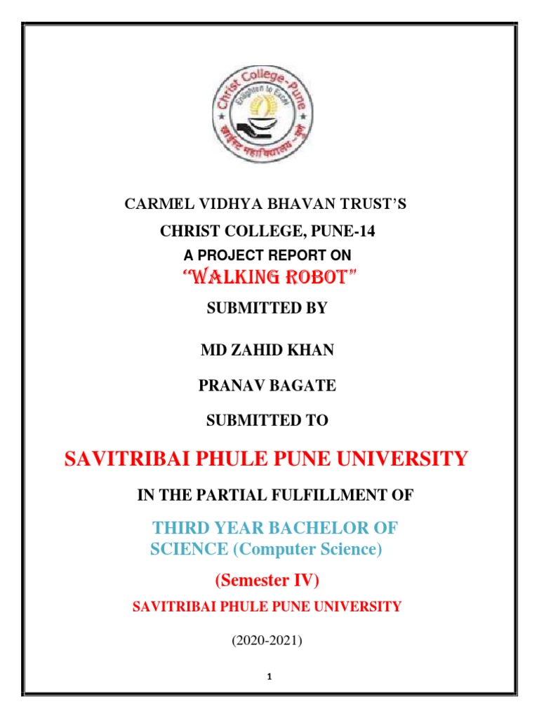 Graphics Project Report 1 | Download Free PDF | Computer Graphics | 2 D ...