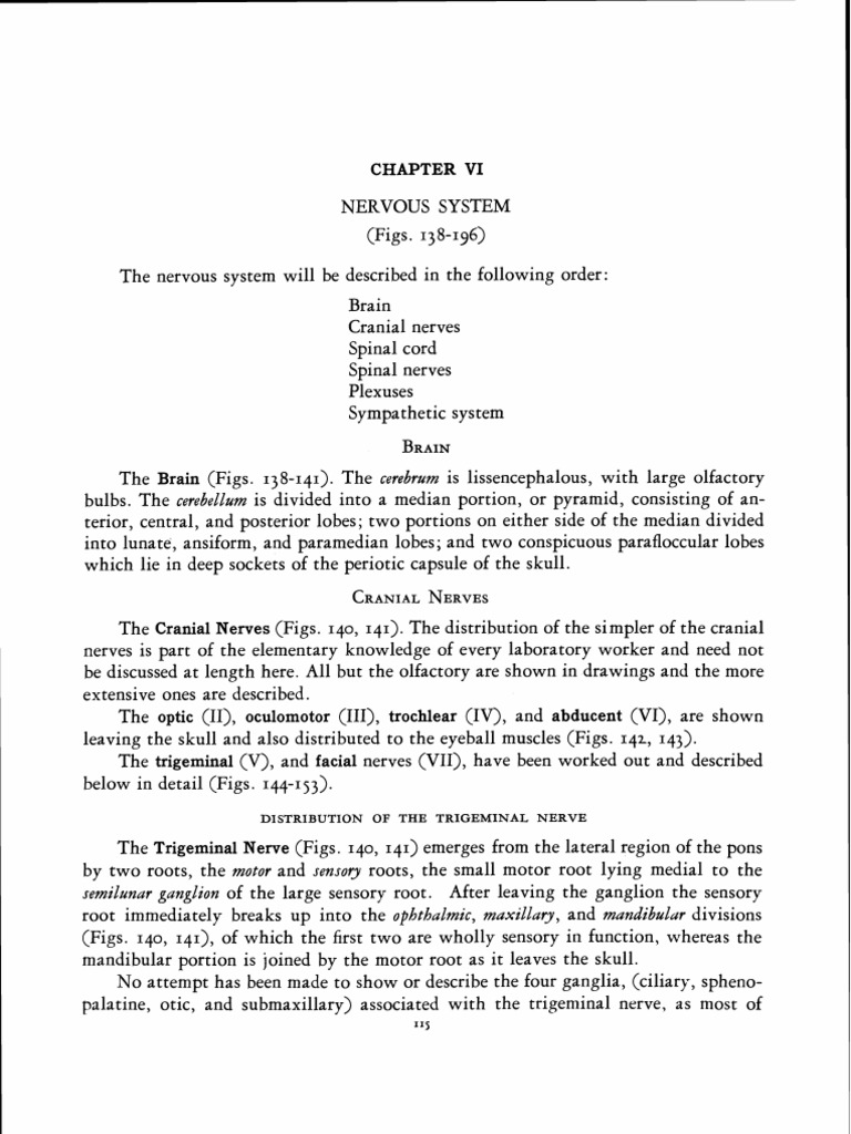 Anatomy of The Rat The Nervous System | PDF | Human Nose | Vertebral Column