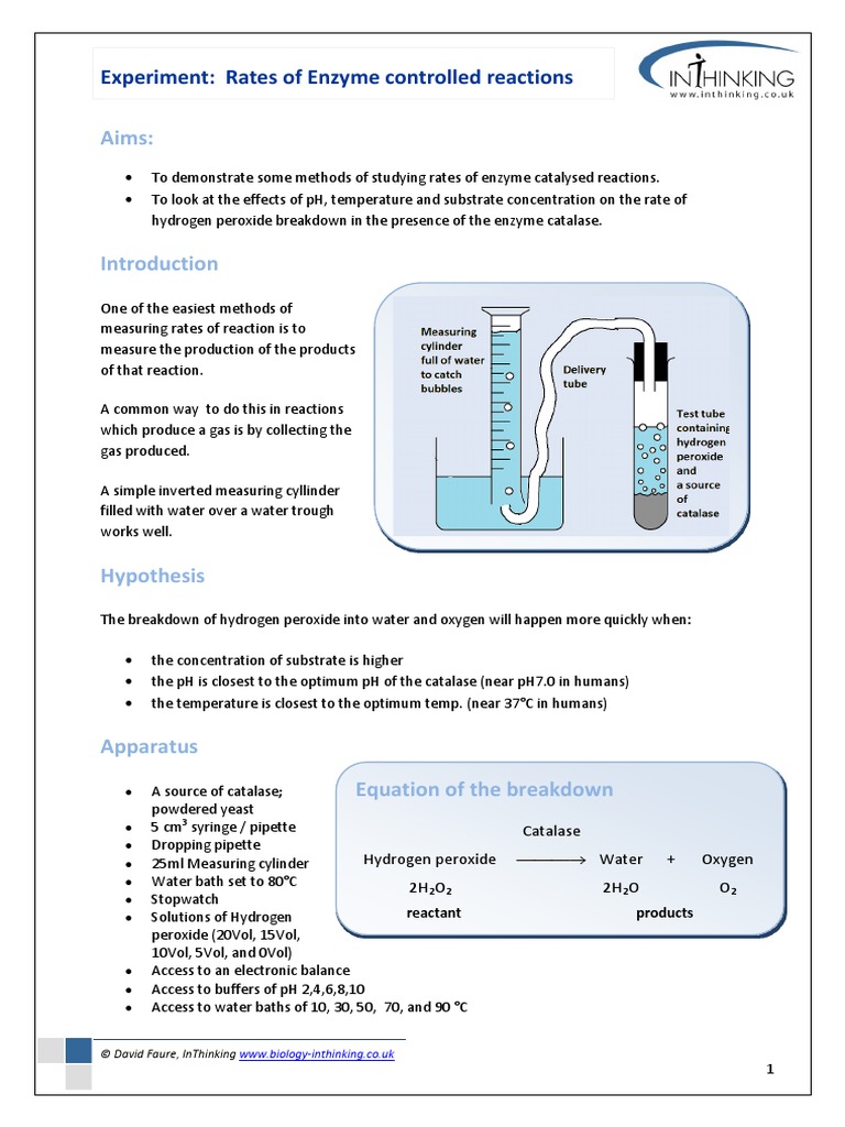 Aims:: Experiment: Rates of Enzyme Controlled Reactions | PDF ...