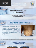 2 Obstruccion Intestinal Por Bridas y Adherencias | PDF | Medicina ...